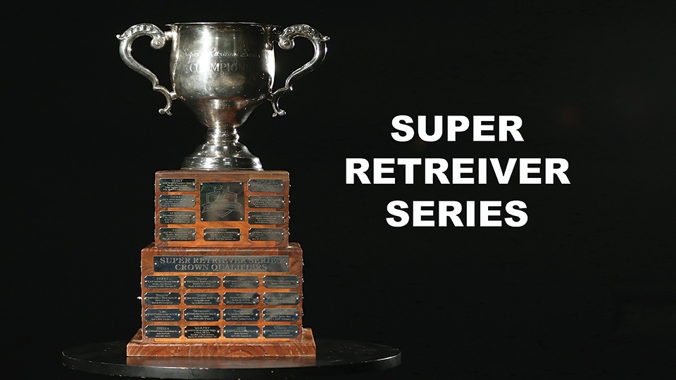 2020 — Super Retriever Series – The best sporting dogs on this planet.